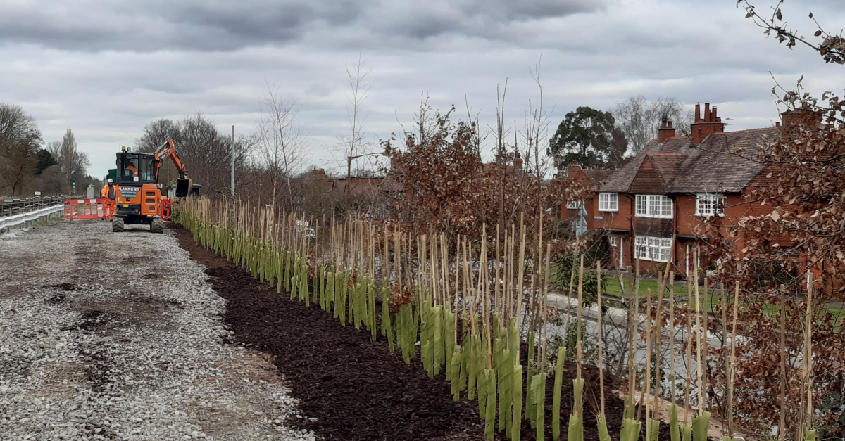 Tree planting boosts biodiversity on the Wirral | VolkerRail